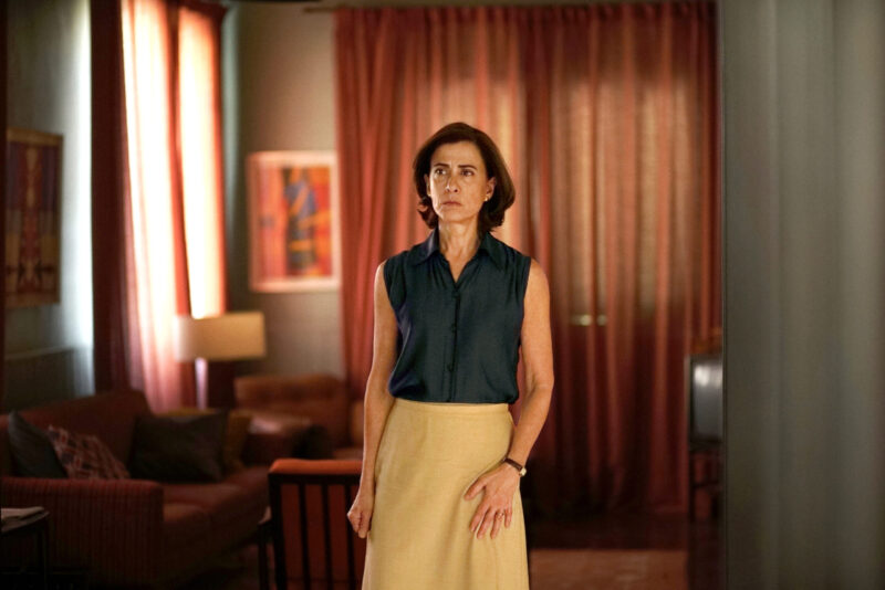 “Ainda Estou Aqui” atinge a marca de 4 milhões de espectadores no Brasil e volta para o primeiro ...